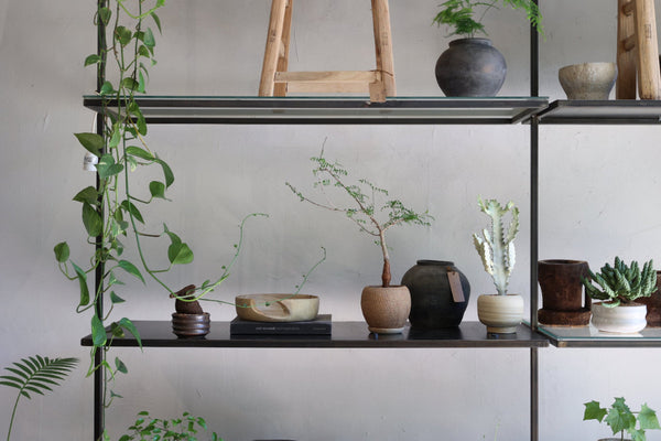Custom Plant Design for Seattle Homes & Businesses