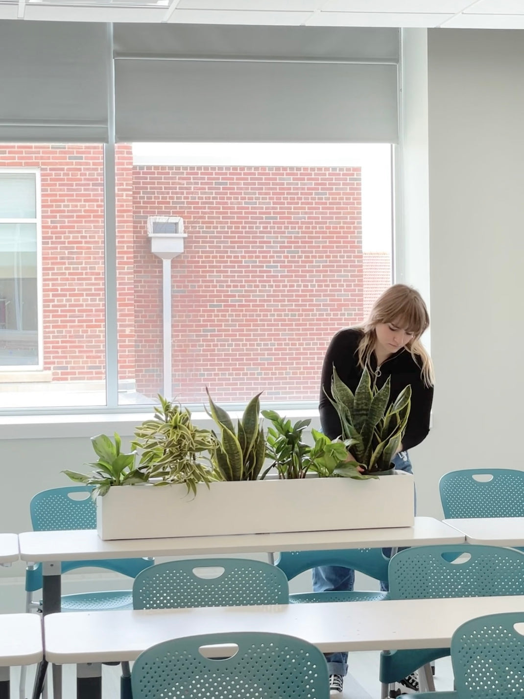 Interior Plant Services – Plantify